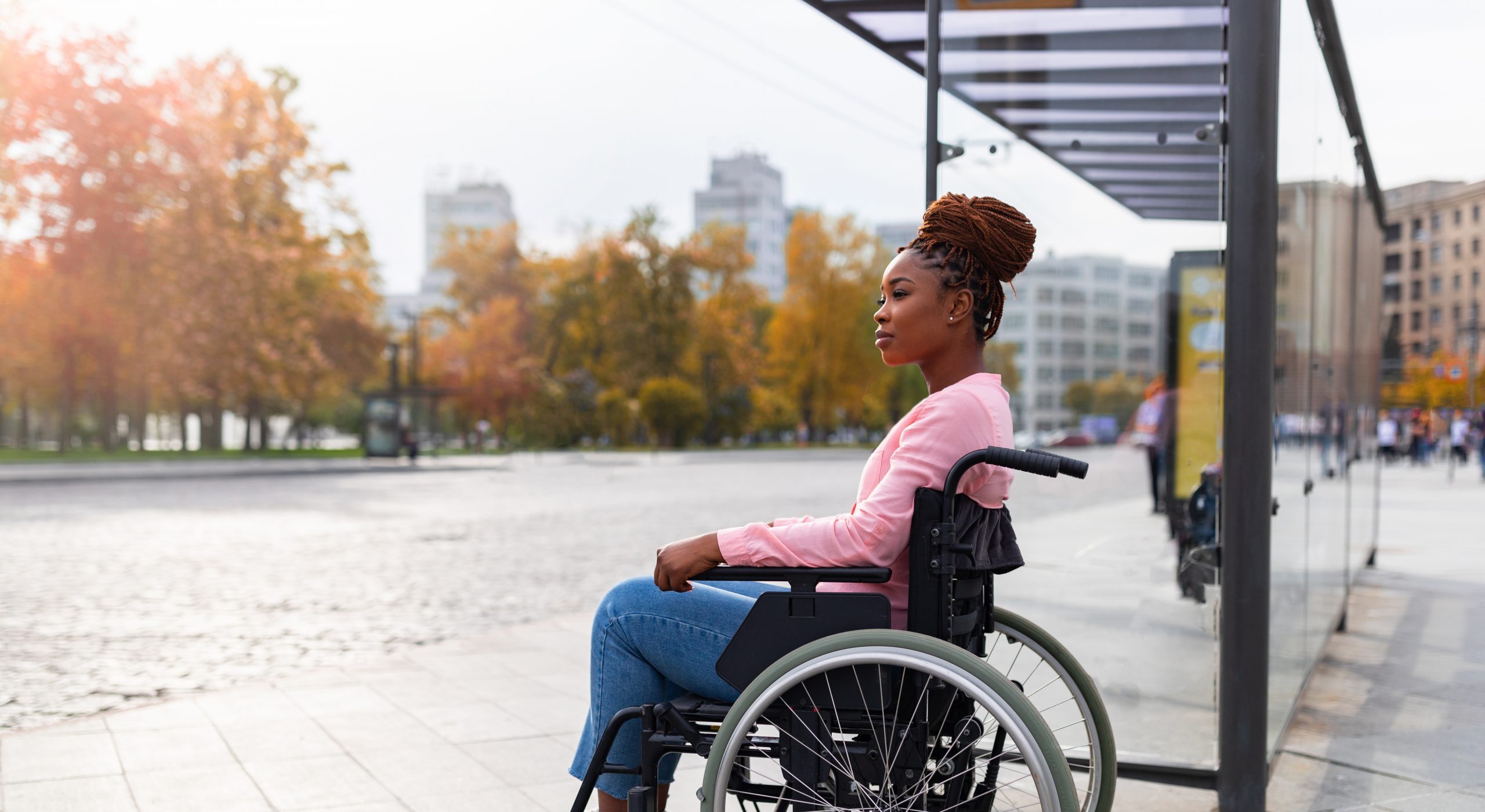 GreyHawk Mobile - Clever Devices